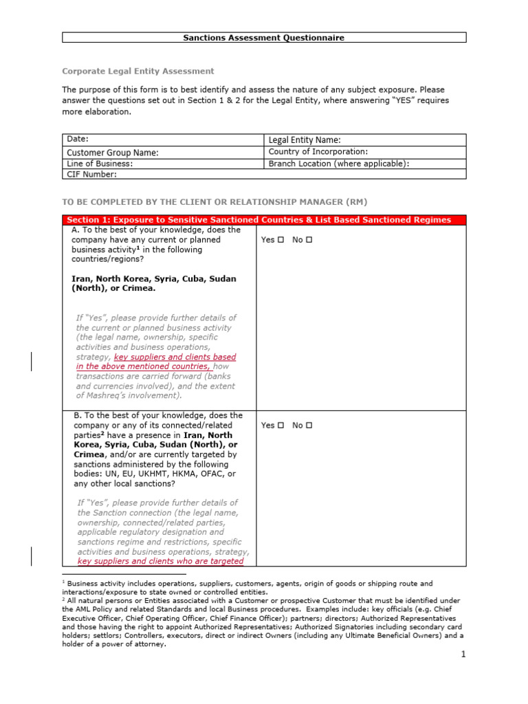 Sanction Questionnaire form | PDF | Banks | Economies
