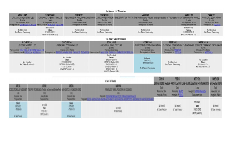 1st Year | PDF