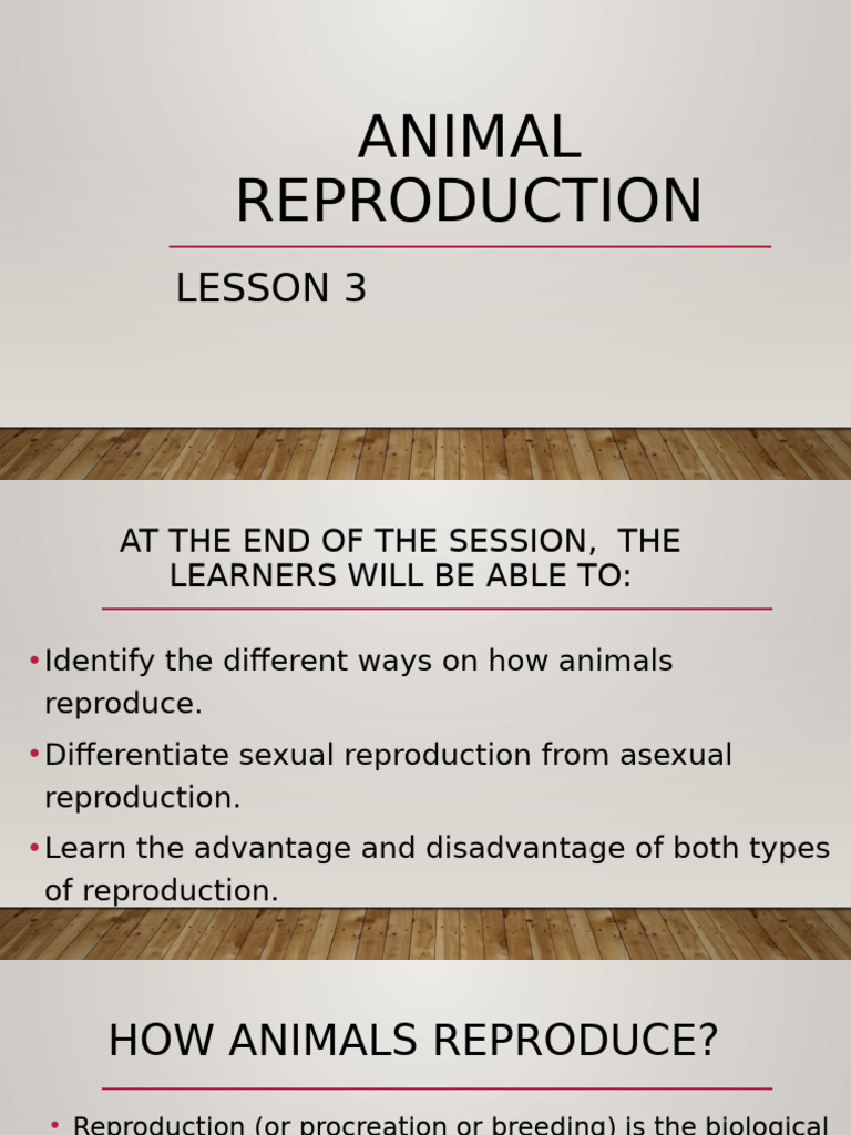 Lesson 3 Animal Reproduction | PDF | Sexual Reproduction | Reproduction