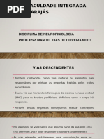 HINTS para Diagnóstico de Vertigem | PDF | Vertigem | Sistema vestibular