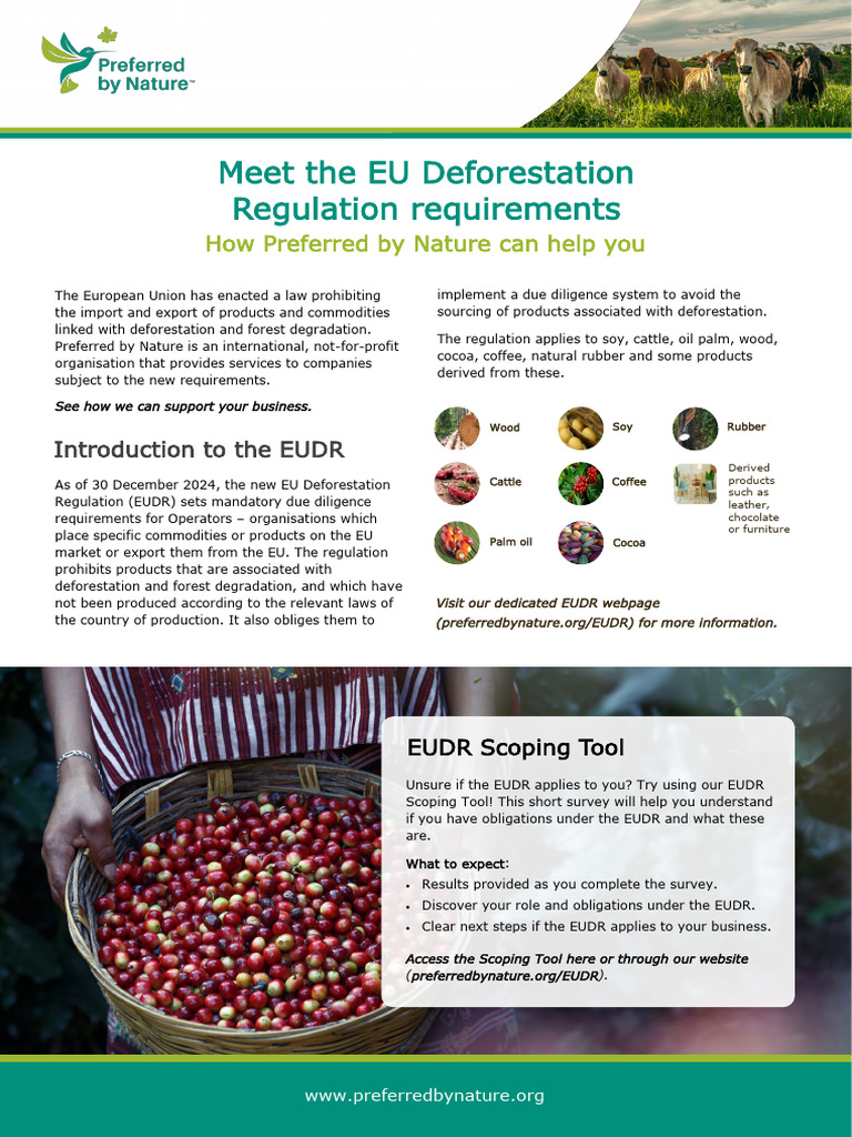EUDR | PDF | Supply Chain | Deforestation