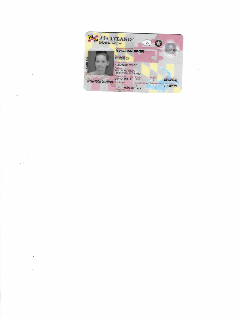 AM Drivers License 04.16.28 | PDF