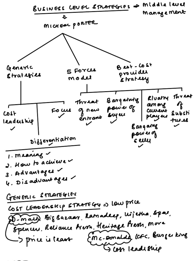 Chapter 5 - Business Level Strategies | PDF