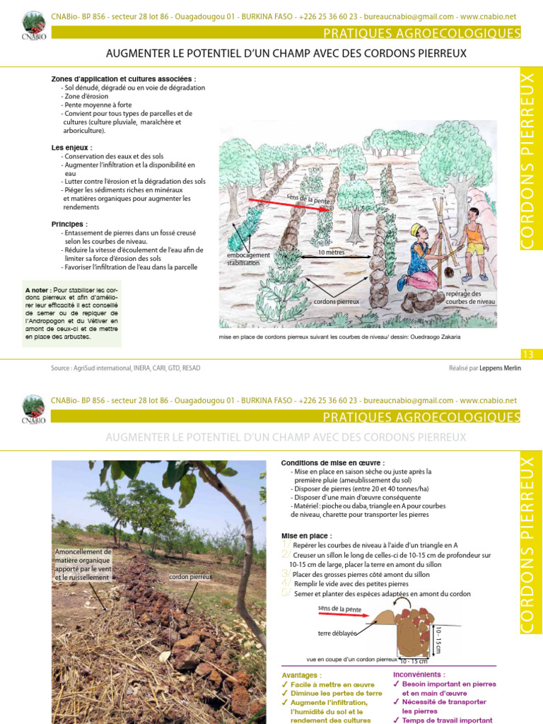 Cordons Pierreux : Techniques et Avantages | PDF | Sol (pédologie ...