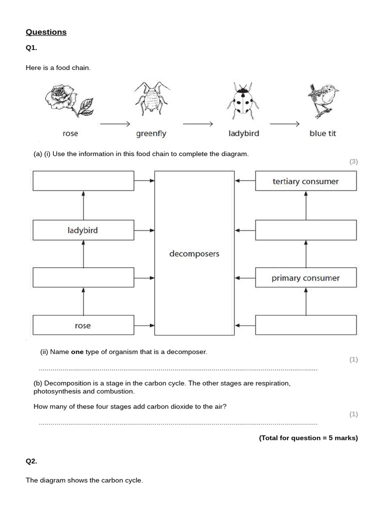 Carbon Cycle Exam Questions and Answers | PDF | Carbon Cycle | Carbon ...