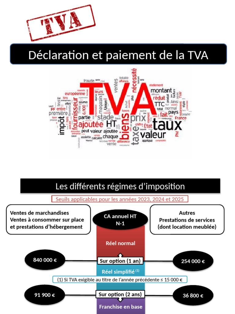 Guide sur la déclaration de TVA 2023 | PDF | Taxe sur la valeur ajoutée ...