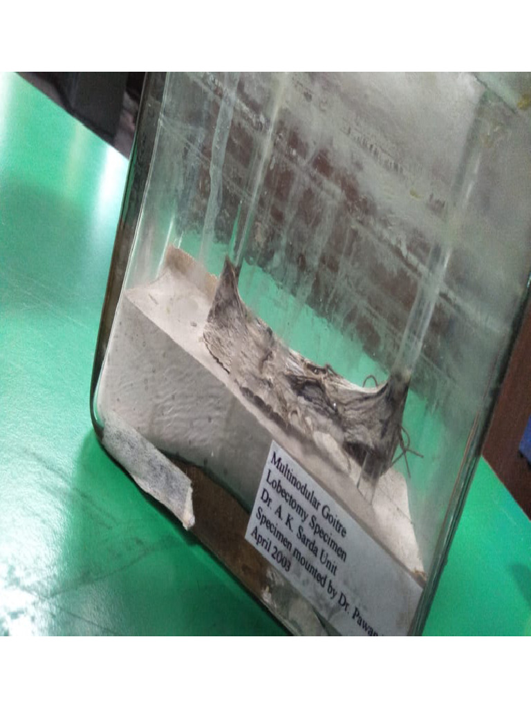 Surgery Specimens | PDF