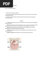 4 Kuadran Dan 9 Regio Pada Abdomen | PDF