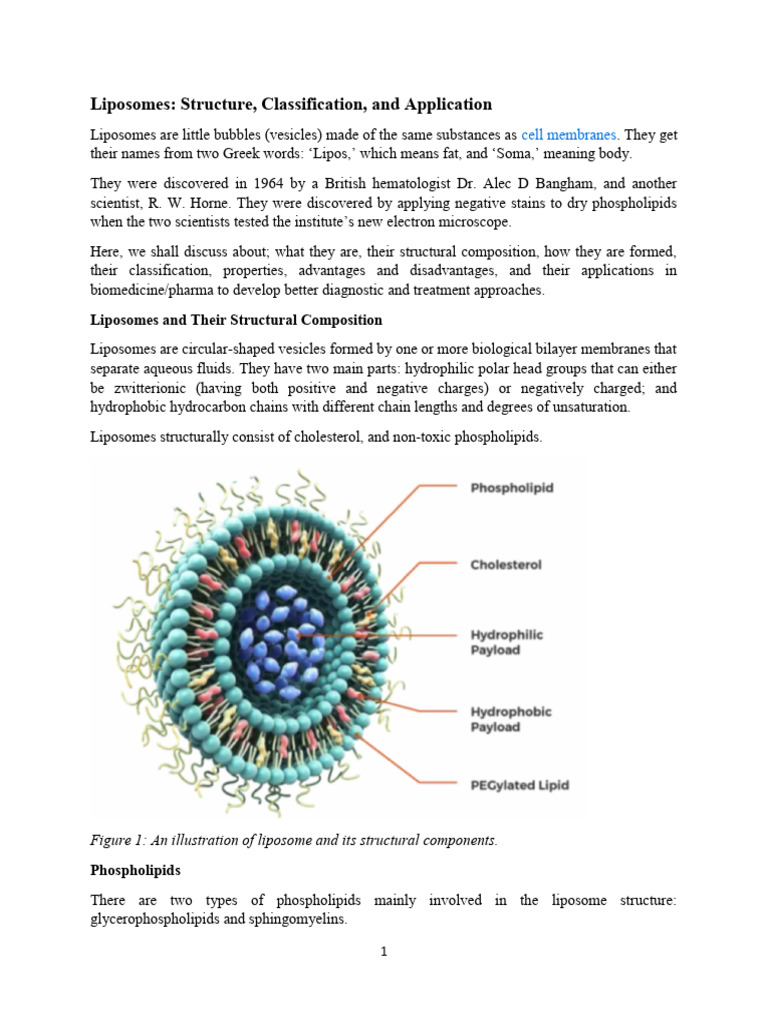 Liposome Structure and Classification | PDF | Liposome | Phospholipid