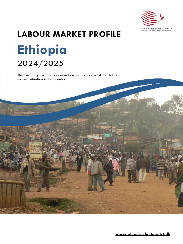 Ethiopia-Labour Market Profile-2024-Final | PDF | Employment | Labour Law