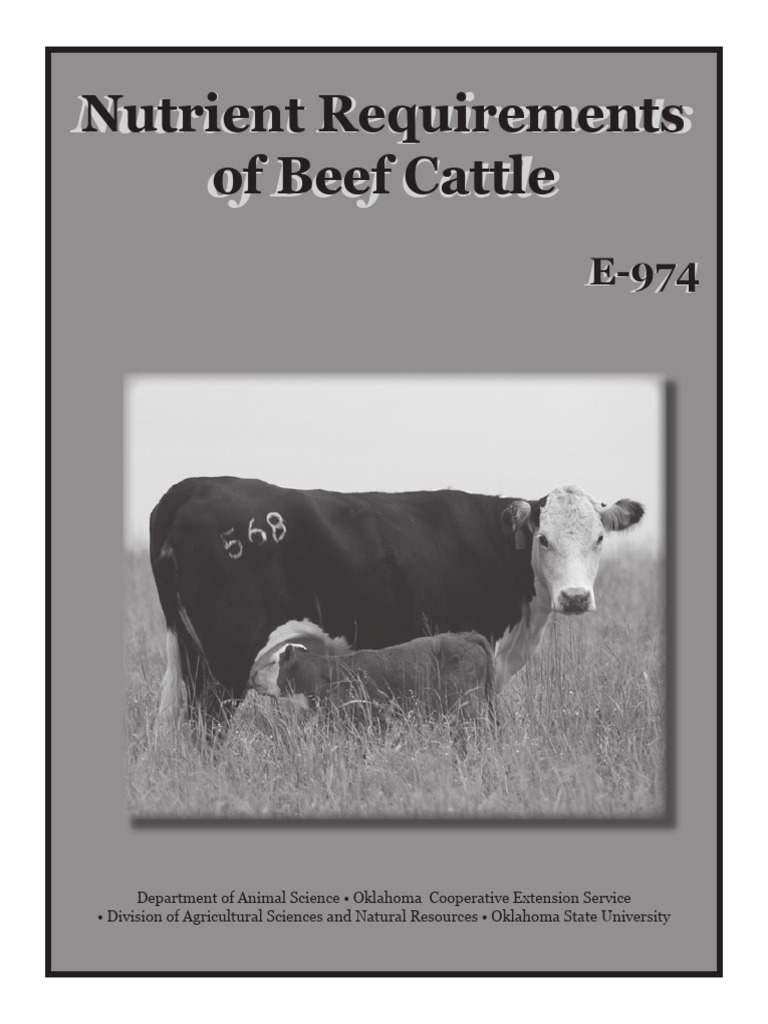 Nutrient beef catte 1 | PDF | Cattle | Ruminant