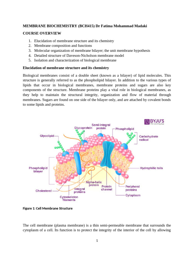 Membrane Biochemistry Overview | PDF | Cell Membrane | Lipid Bilayer
