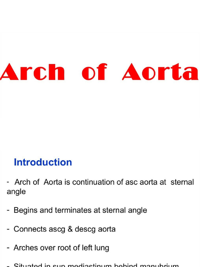 Arch of Aorta | PDF