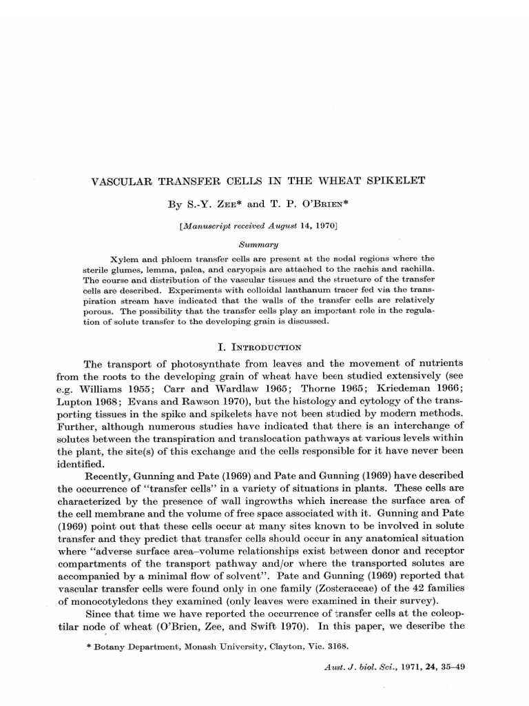 Transfer Cells in Wheat Spikelet | PDF | Plant Stem | Leaf