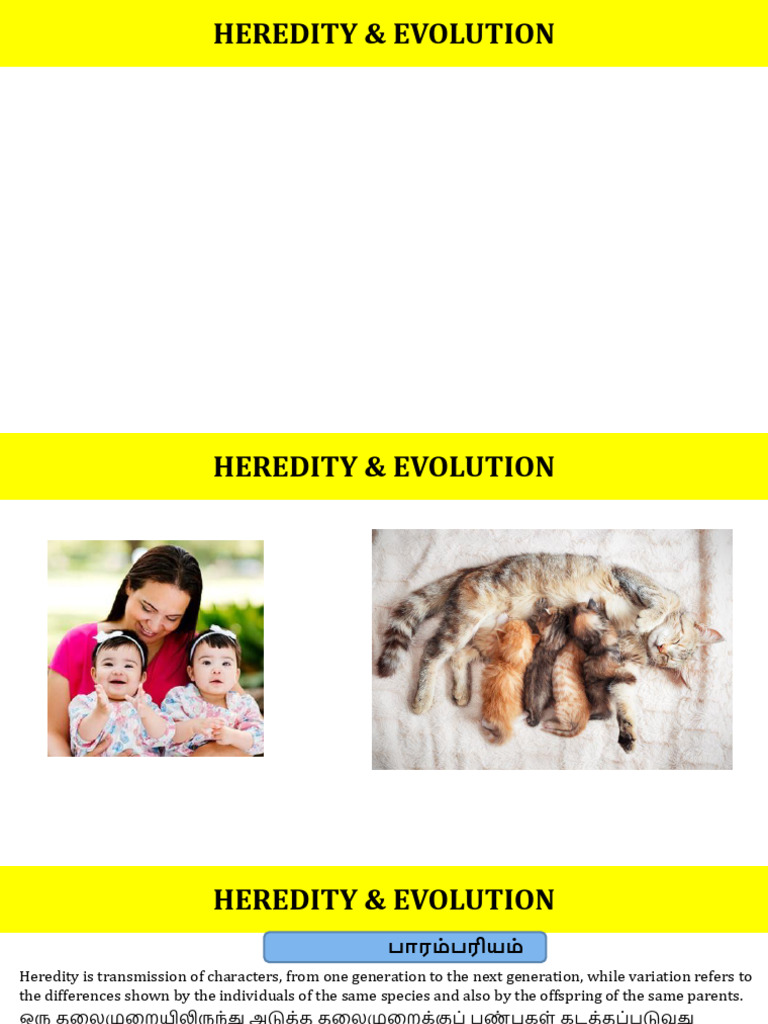 Heredity & Evolution - 41400915 - 2024 - 10 - 18 - 10 - 53 | PDF