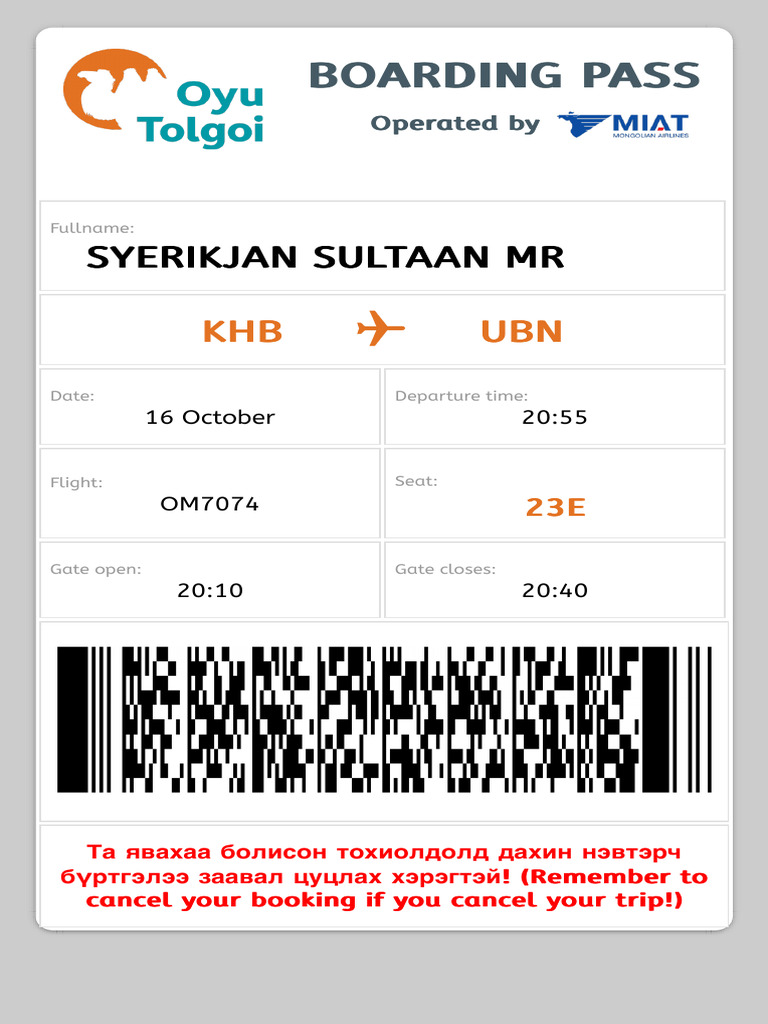 E Boarding Pass | PDF