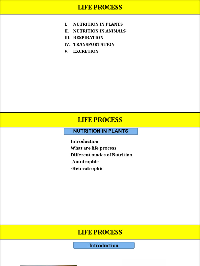 Life Process - 41400906 - 2024 - 10 - 18 - 10 - 52 | PDF | Cellular ...