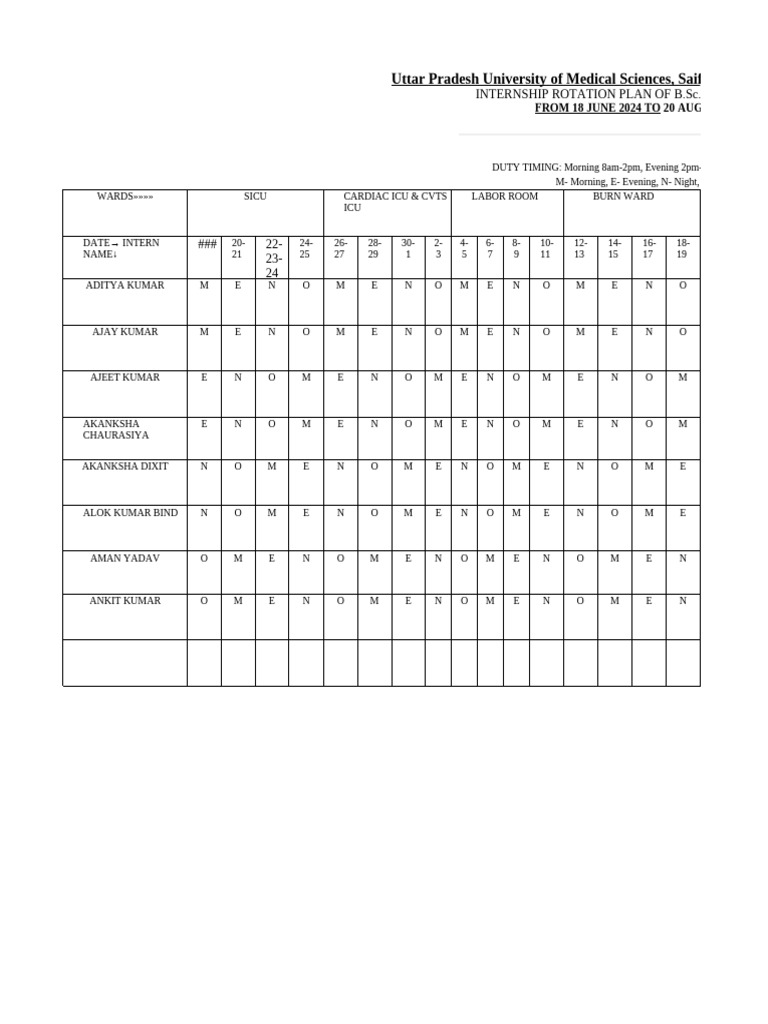Internship Roaster Plan Updated | PDF