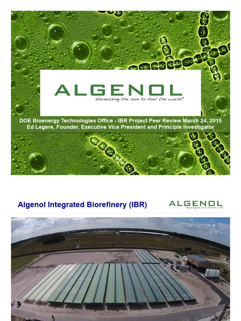 ALGENOL Project - Plant Demostration For DOE - Florida US | PDF ...