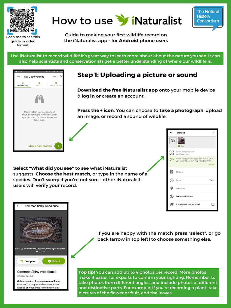 Android Inaturalist Guide 2024 | PDF | Android (Operating System ...
