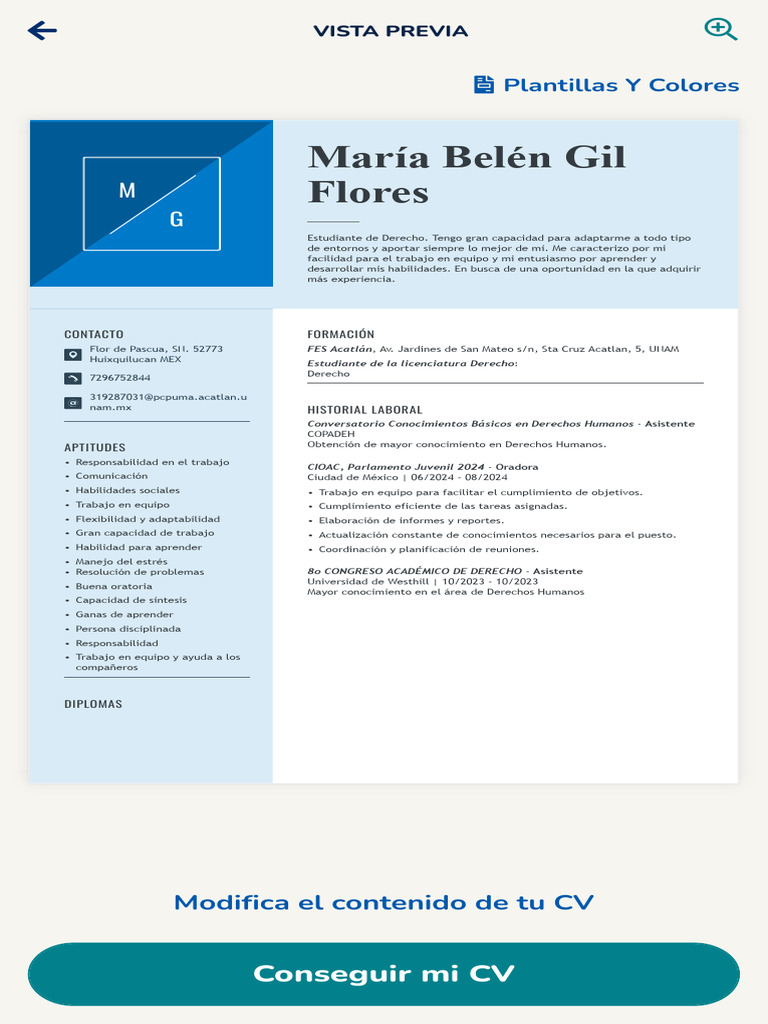 Finalizar CV - Mi CV Ideal | PDF