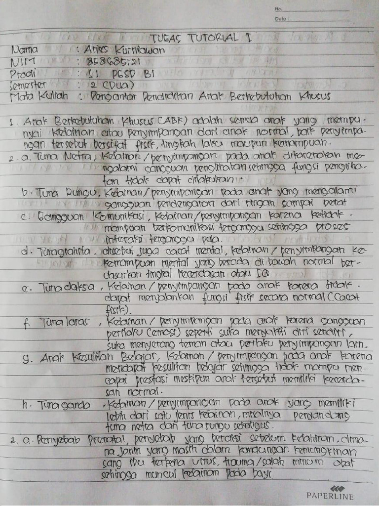 Pengantar Pendidikan ABK TT 1 | PDF