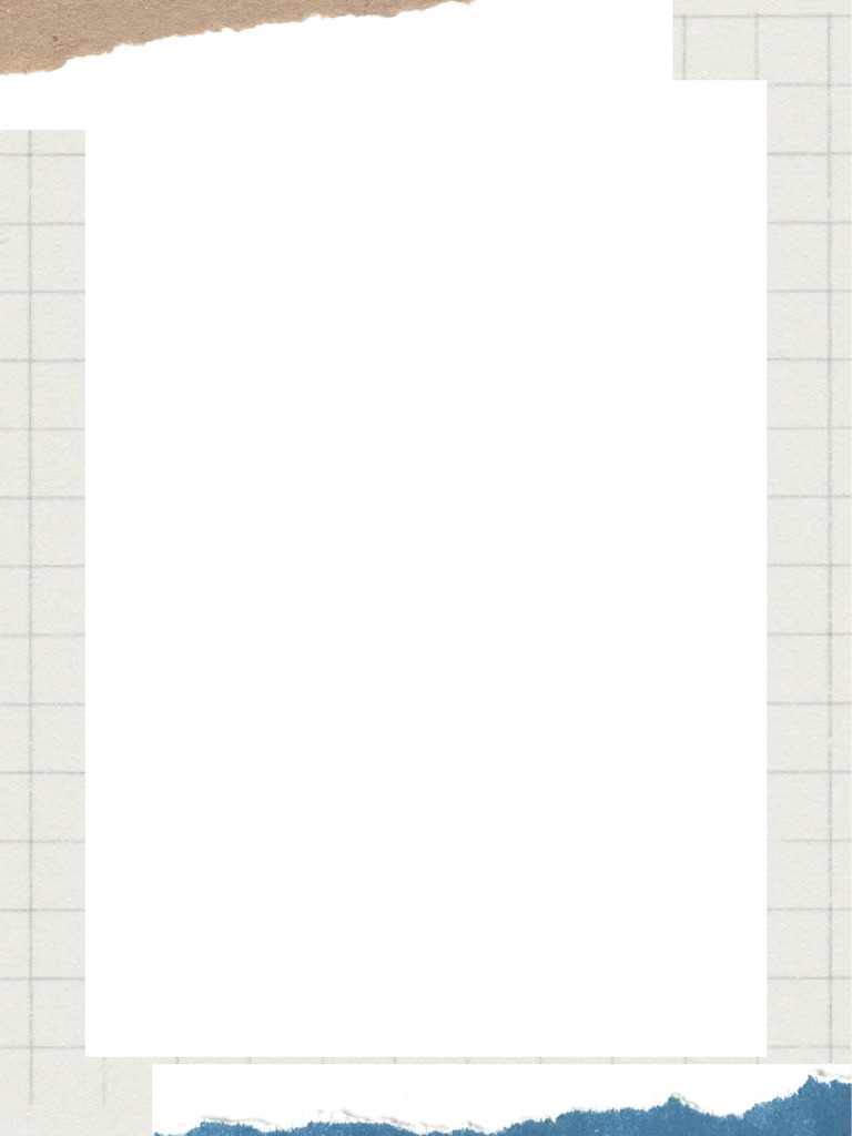 White Torn Paper A4 Document | PDF