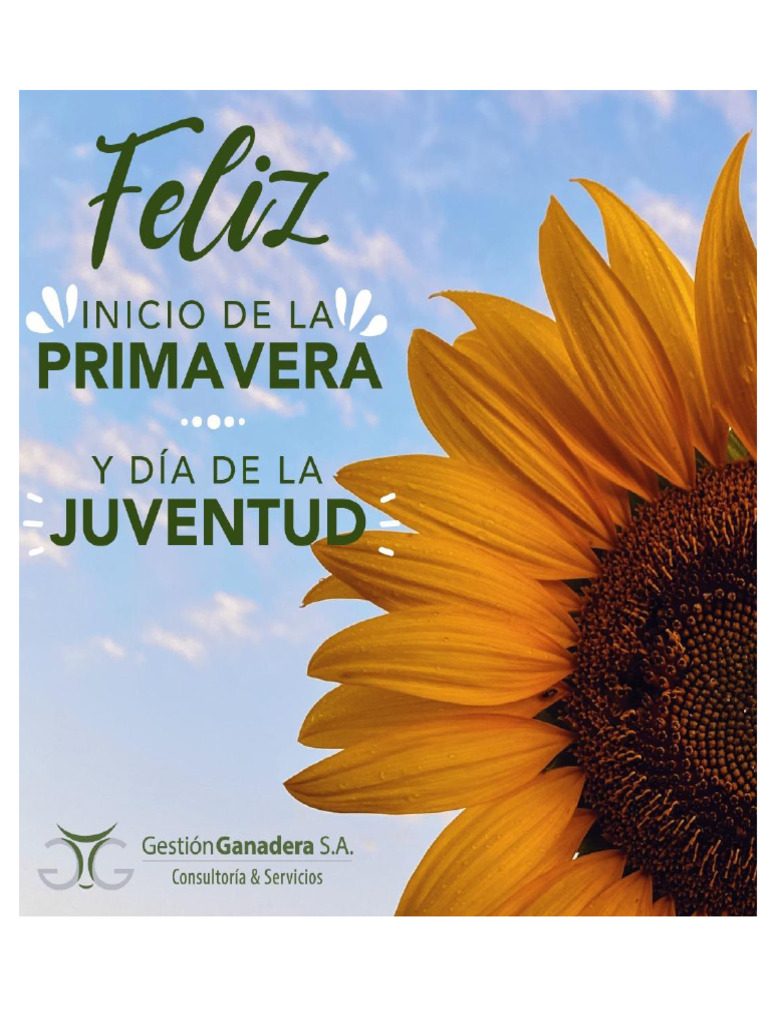 PRIMAVERA 2 | PDF