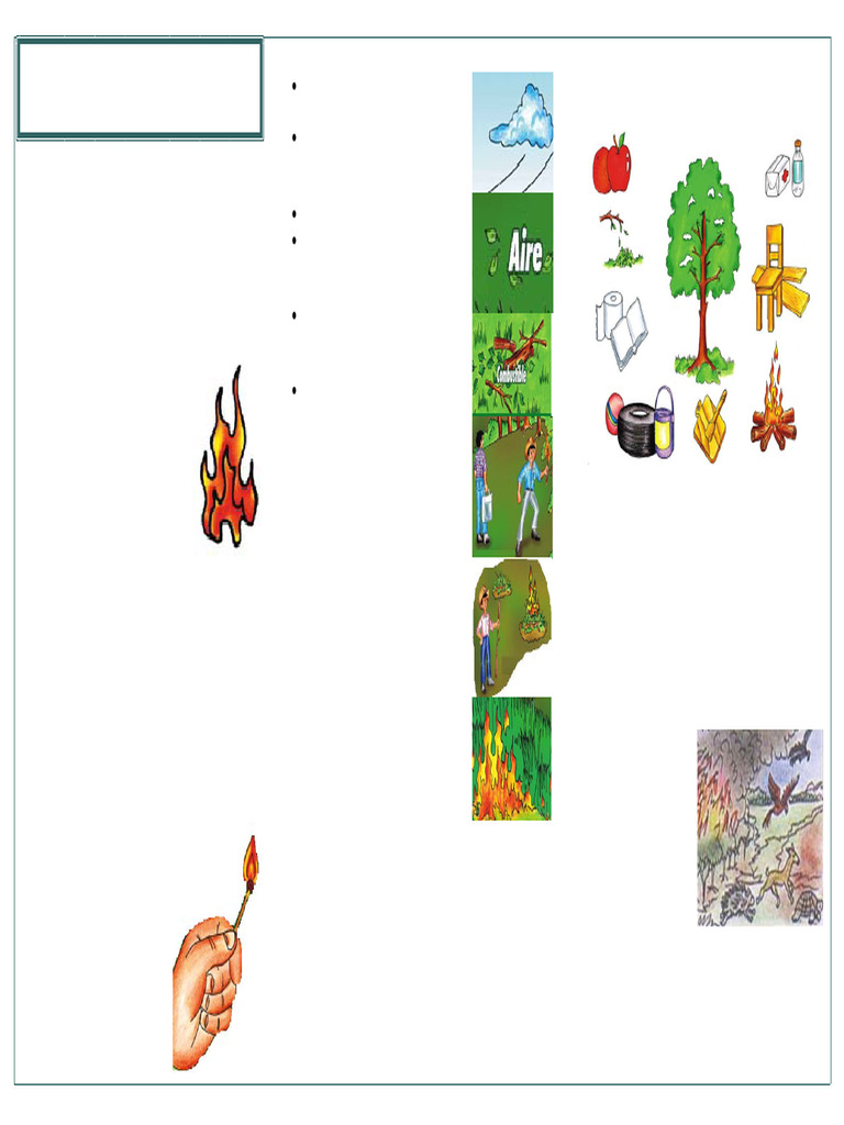 TRIPTICO_INCENDIOS_FORESTALES_2 | PDF | Incendios | Los bosques