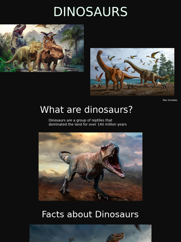Dinosaurs | PDF
