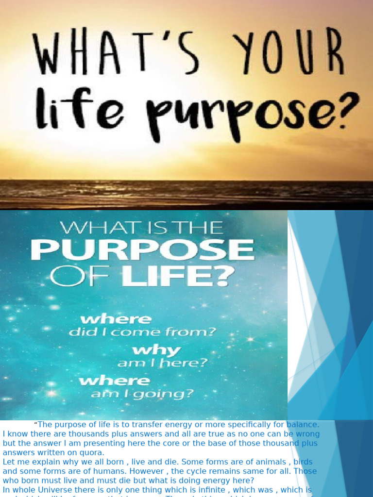 What Is The Purpose of Life | PDF | Happiness | Meaning Of Life