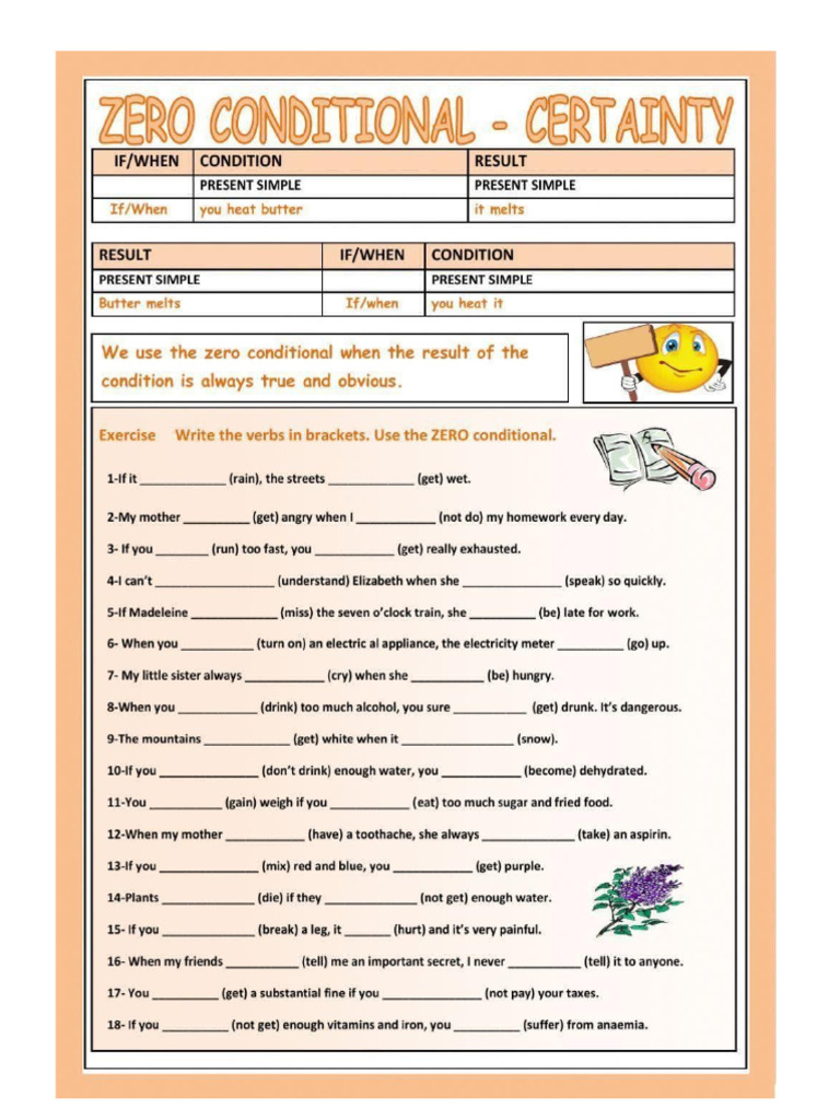 WORKSHOP ZERO CONDITIONAL | PDF