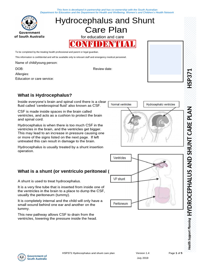 hsp371 Hydrocephalus Shunt Care Plan | PDF | Cerebrospinal Fluid ...