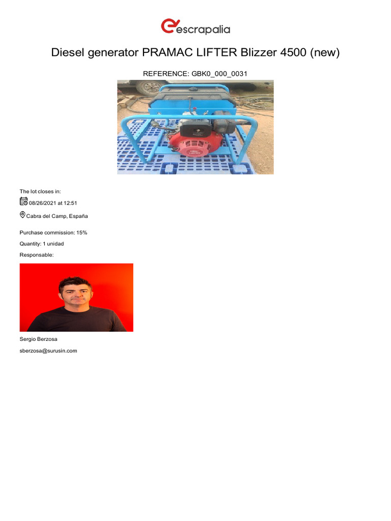 Diesel Generator PRAMAC LIFTER Blizzer 4500 (New) | PDF | Auction ...