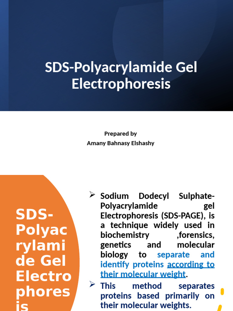 4.sds-Polyacrylamide Gel Electrophoresis 0 | PDF | Gel Electrophoresis ...