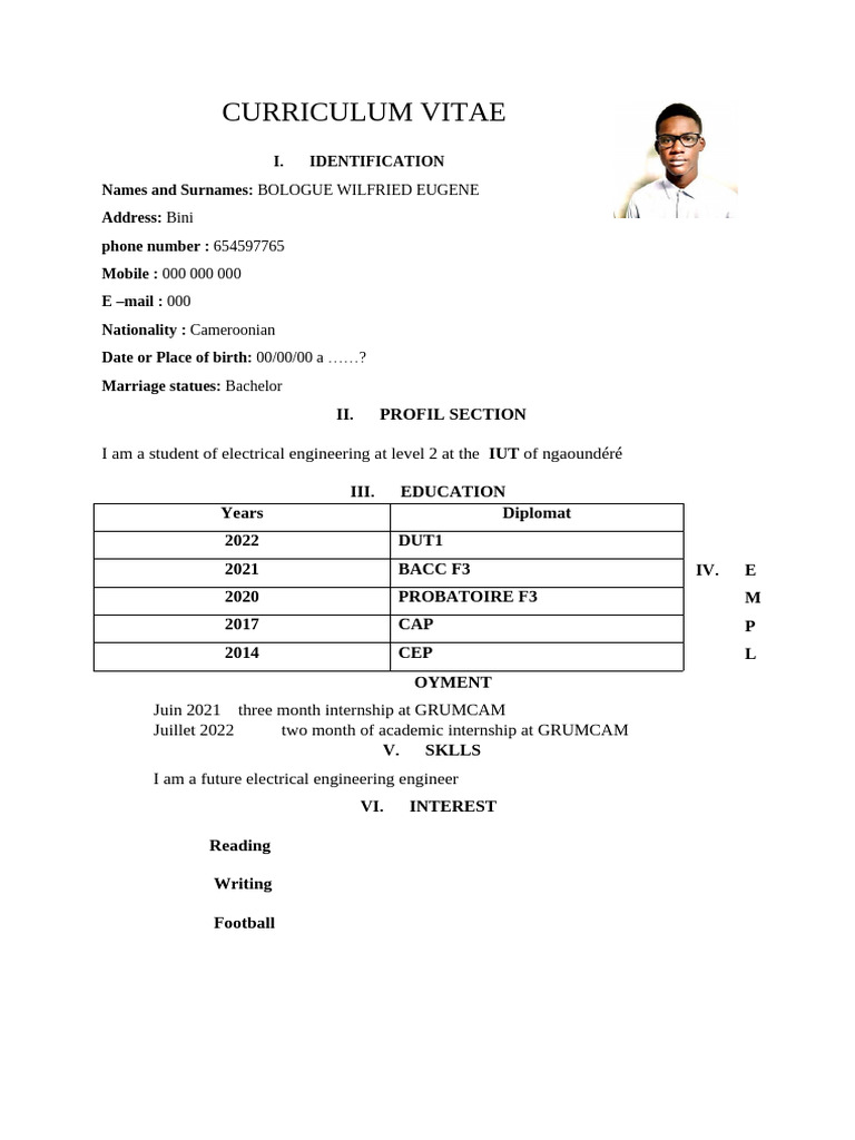 CURRICULUM VITAE - Copie | PDF