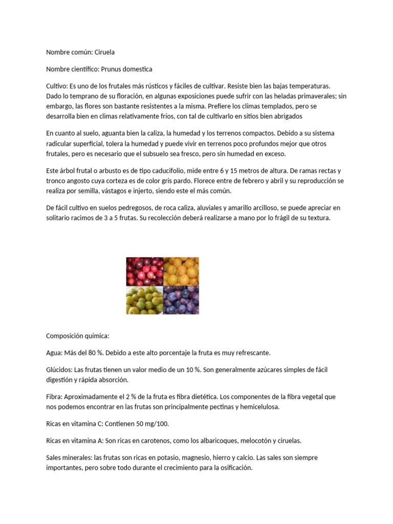 Ciruela | PDF | Fruta | Antioxidante