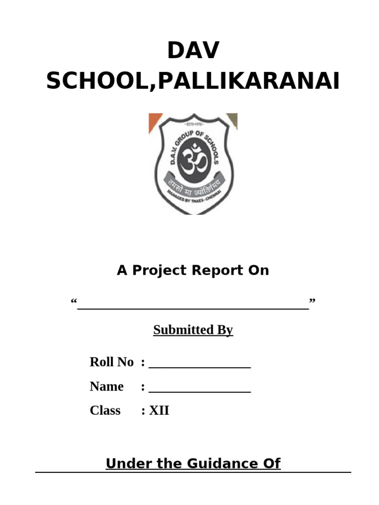 Dav Project Sheet | PDF | Art