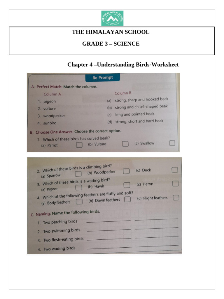 Chapter 4 SCIENCE WORKSHEET | PDF