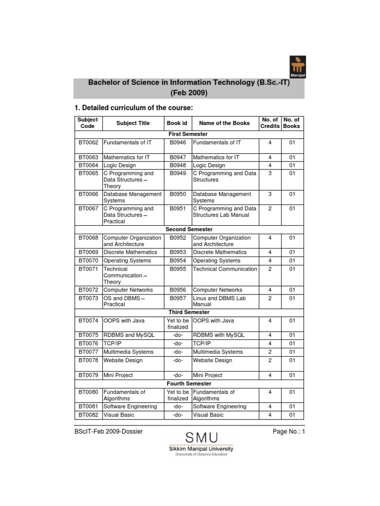 BSCITSyllabus F09 | PDF