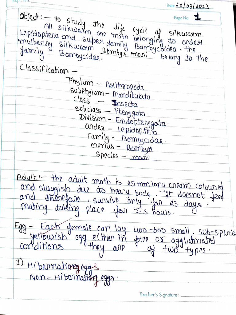 Applied Entomology 1 | PDF