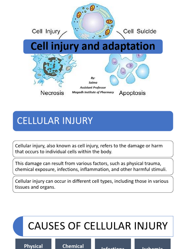 cell injury 1st sem pdf | PDF | Cell (Biology) | Inflammation
