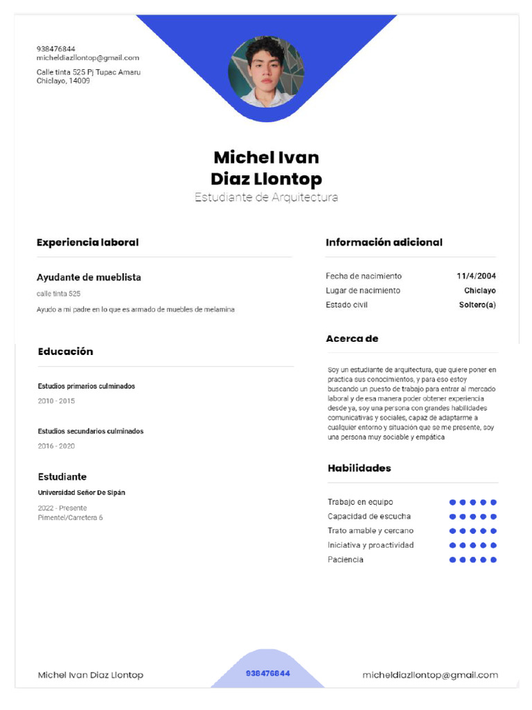 CV MIchel DIaz | PDF