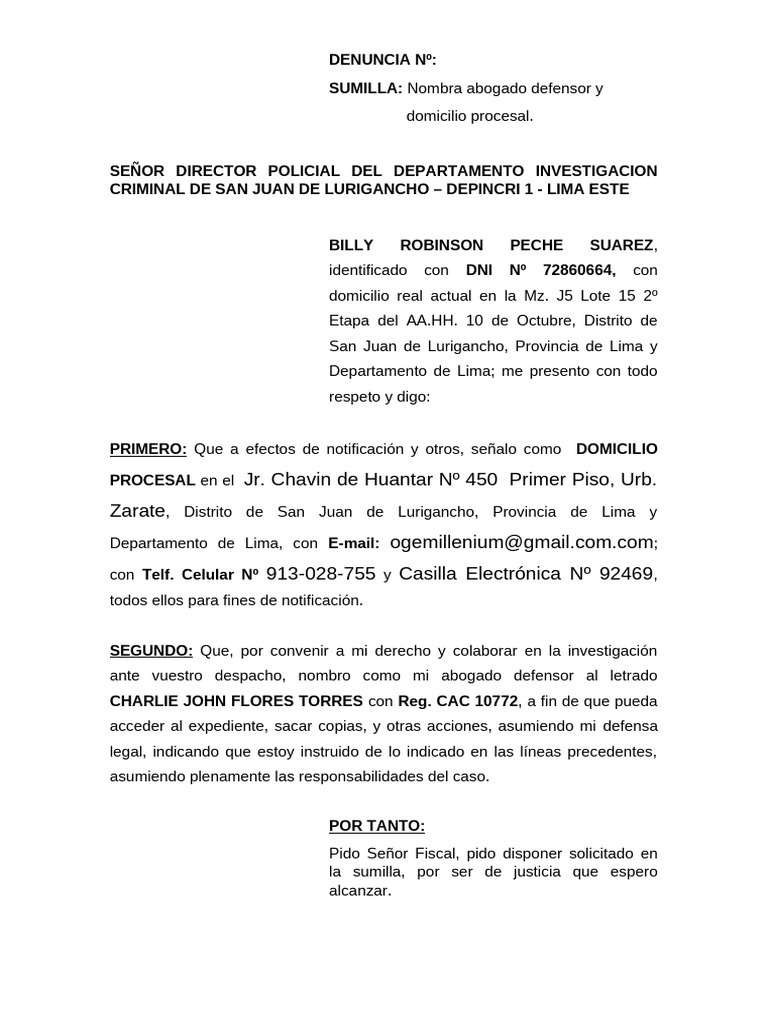 Nombramiento de Abogado Defensor | PDF | Ciencias sociales