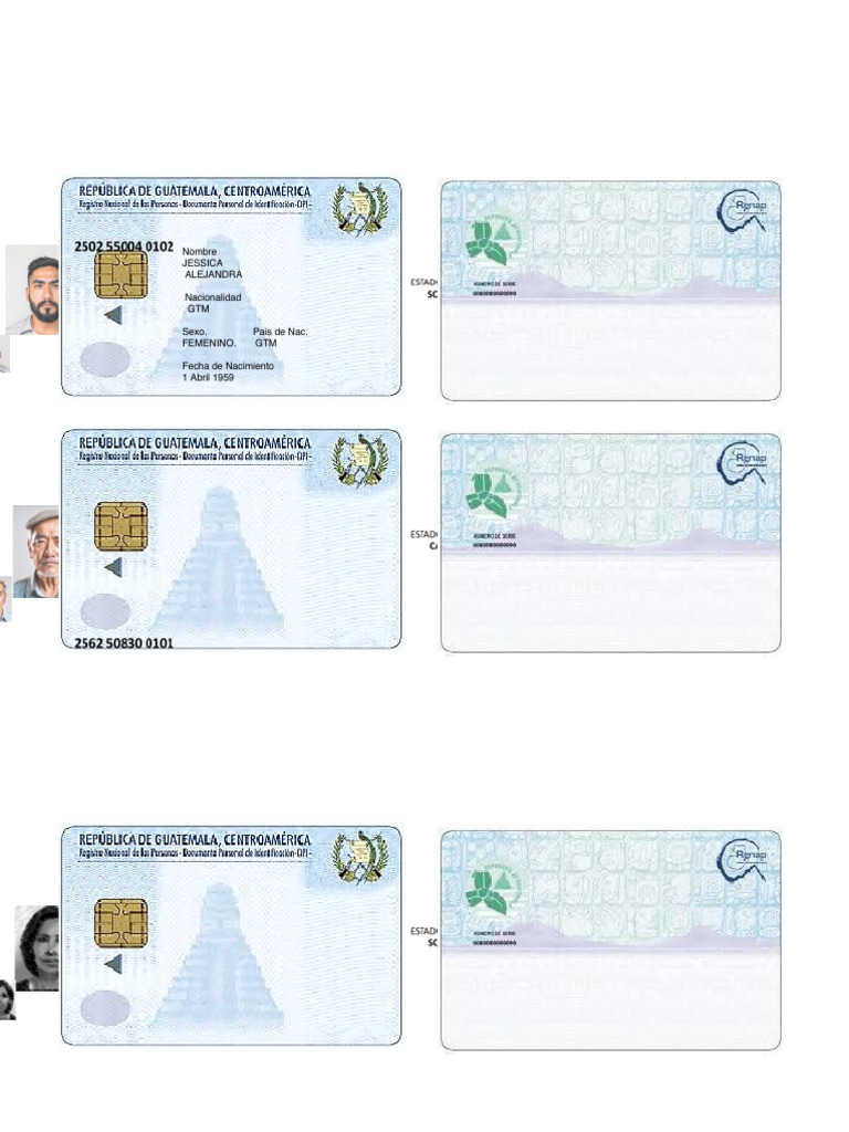 Plantilla de DPI para llenar e imprimir | PDF