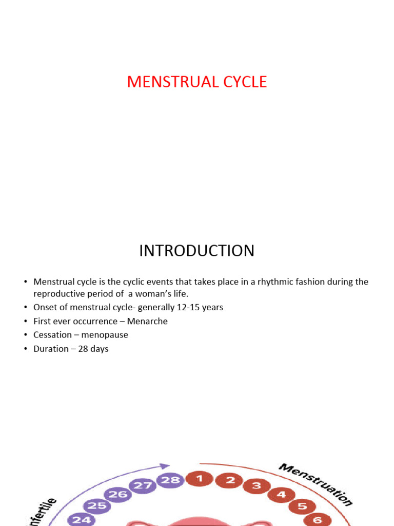 Menstrual Cycle | PDF | Menstrual Cycle | Luteinizing Hormone