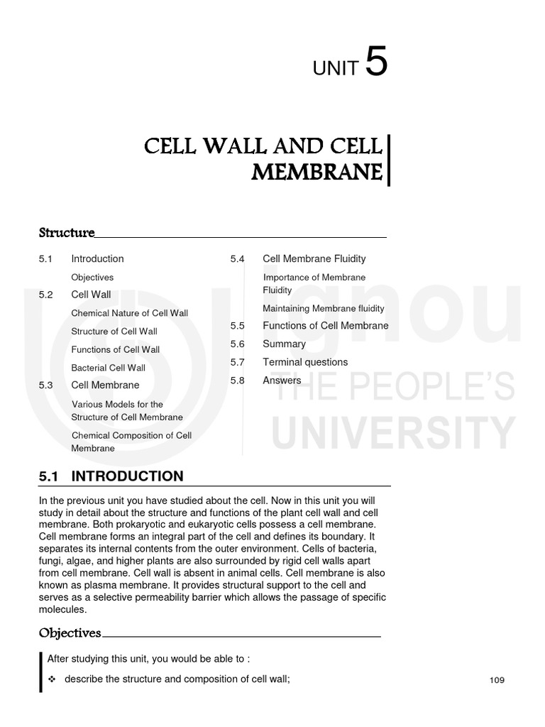 Unit 5 | PDF | Cell Membrane | Cell Wall