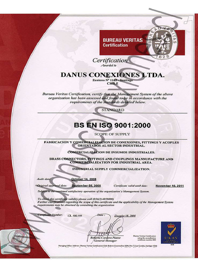 Conexiones Danus | PDF