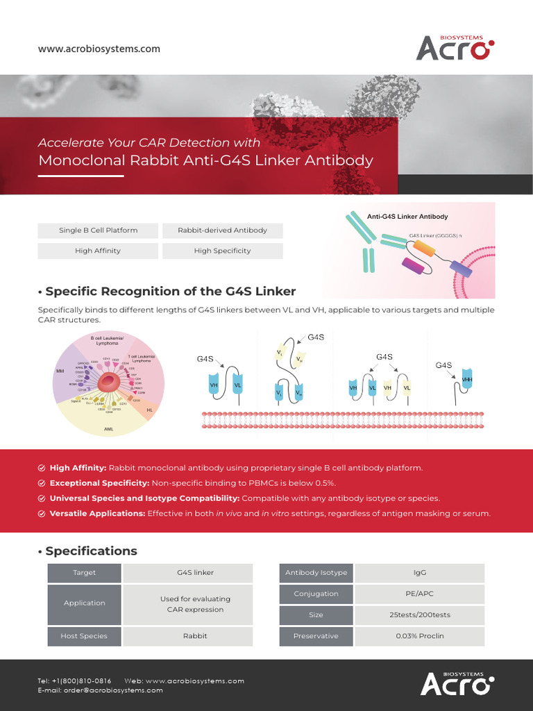 Monoclonal Rabbit Anti-G4S Linker Antibody Flyer | PDF | Antibody ...