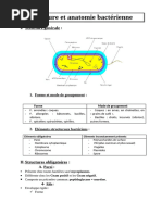 01 Structure Bacterienne | PDF | Bactérie | Cellule (Biologie)